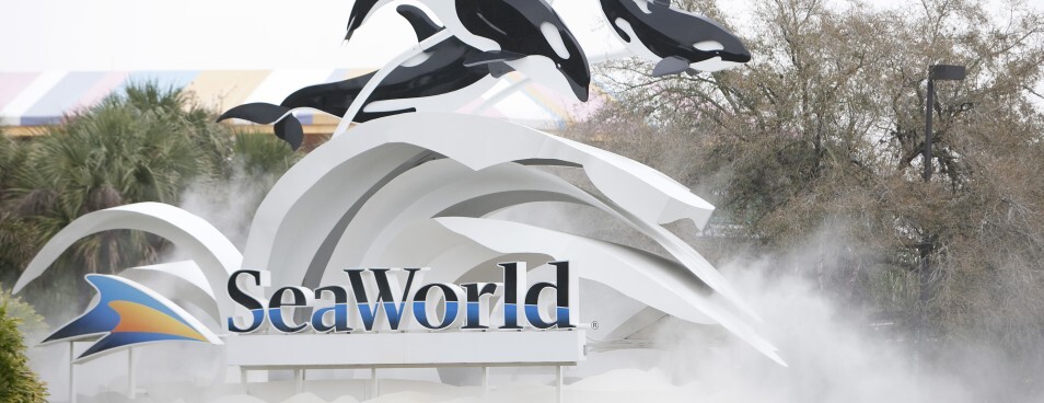 Anheuser-Busch Owes $52 Million in SeaWorld Worker Pension Suit