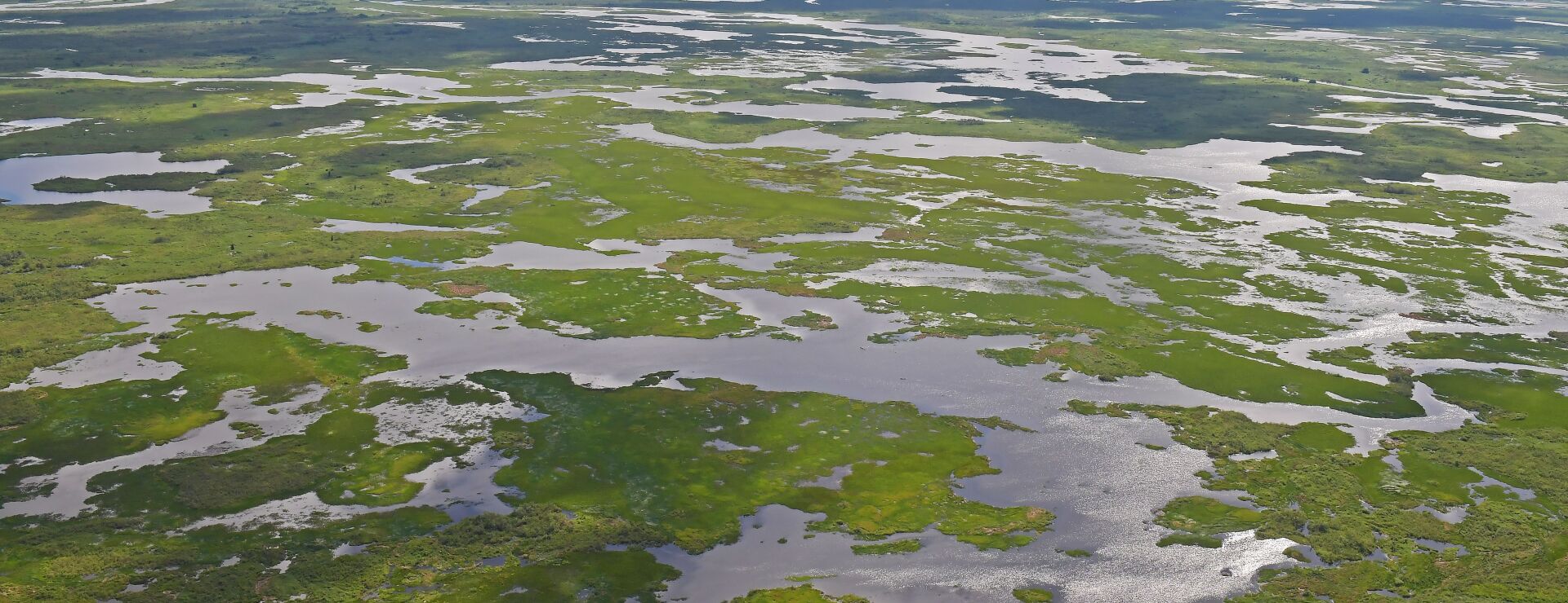 Brazil, Bolivia, and Paraguay Gear Up to Protect Pantanal Wetland