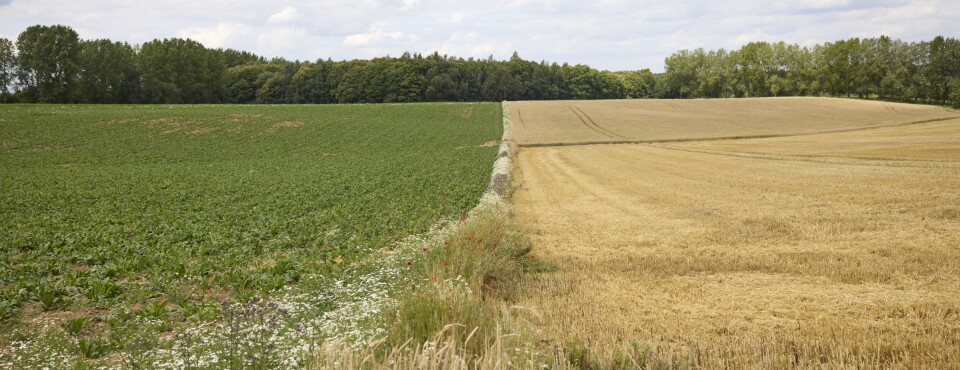 Multinationals Operating in the EU Can’t Ignore ESG Obligations