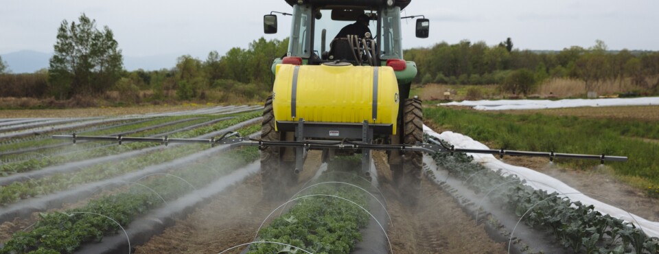 EPA Starts Process to Remove Pesticide Dacthal From Market
