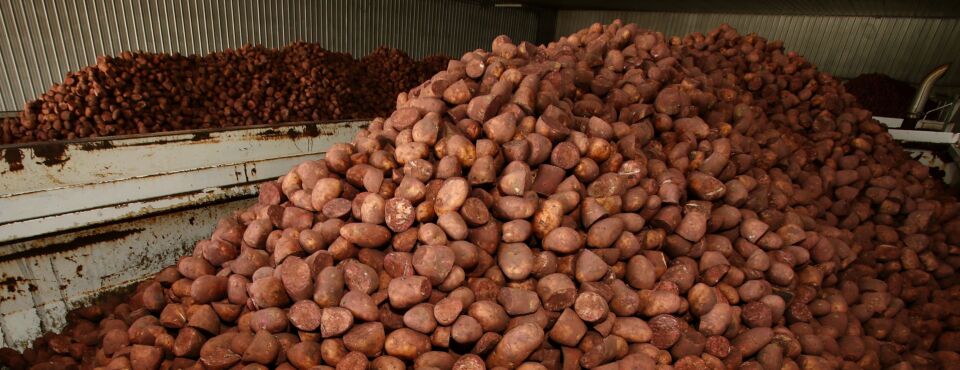 Lamb Weston Investors Sue Potato Company Over Software Claims